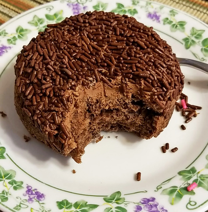 This chocolate-covered cake donut with sprinkles isn't just dessert, it's therapy with a hole in the middle.