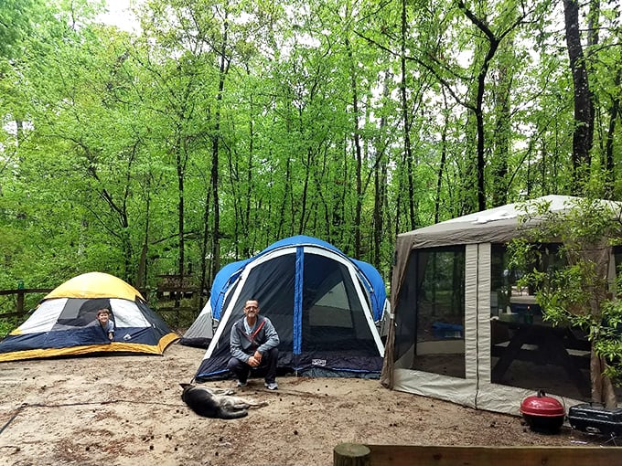 Camping among the trees&mdash;where your morning alarm is birdsong and your ceiling is a canopy of leaves. No room service, but five-star views.