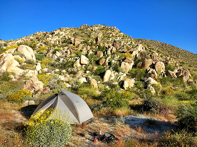 Home sweet temporary home. Nothing beats waking up to this view &ndash; no room service, but the stargazing comes with unlimited refills.