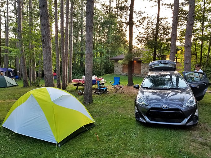 Camping among towering pines&mdash;where your morning coffee comes with a side of birdsong and your evening s'mores taste better with stars.