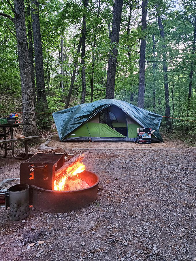 Camping nirvana achieved. Nothing beats swapping ghost stories around a crackling fire while the forest whispers its own tales all around you.