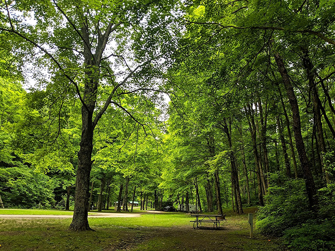 Cathedral of leaves where sunlight plays priest. This tranquil picnic spot offers more spiritual renewal than most meditation apps&mdash;and with better scenery. 