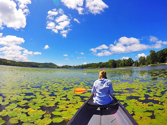 Lily pads create nature's obstacle course for adventurous paddlers. Like navigating through a Monet painting that somehow became three-dimensional.
