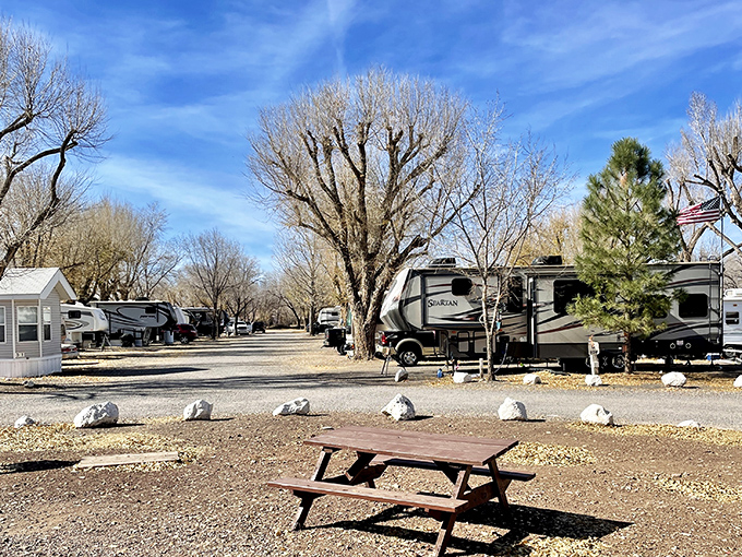 RV paradise awaits beneath bare winter trees, where travelers park their homes-on-wheels and gather around picnic tables to share road stories.