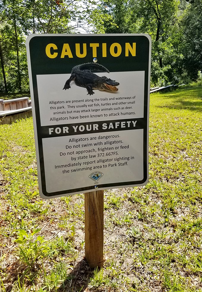 Florida's version of a dinner bell &ndash; the alligator warning sign. Nothing adds excitement to a picnic like knowing you might be on someone else's menu.