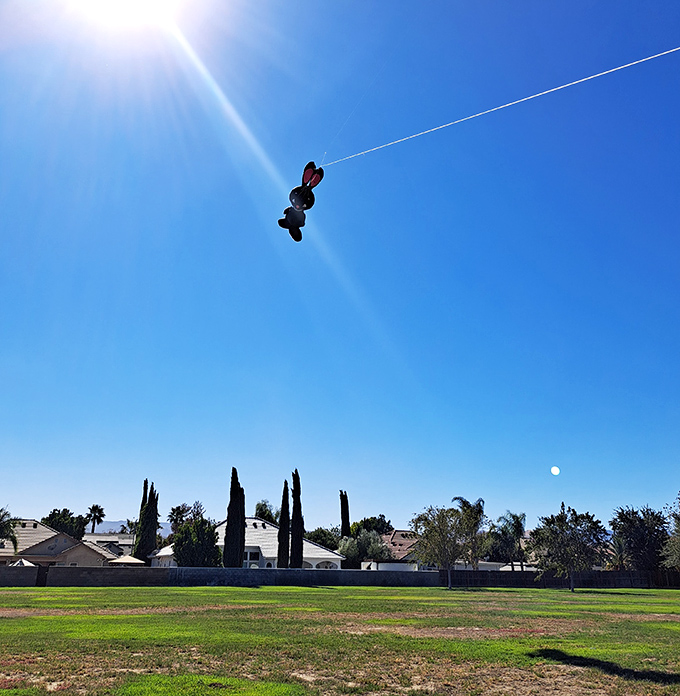 Look up! Coalinga's brilliant blue skies provide the perfect backdrop for kite-flying adventures, where entertainment costs match the town's reasonable living expenses.