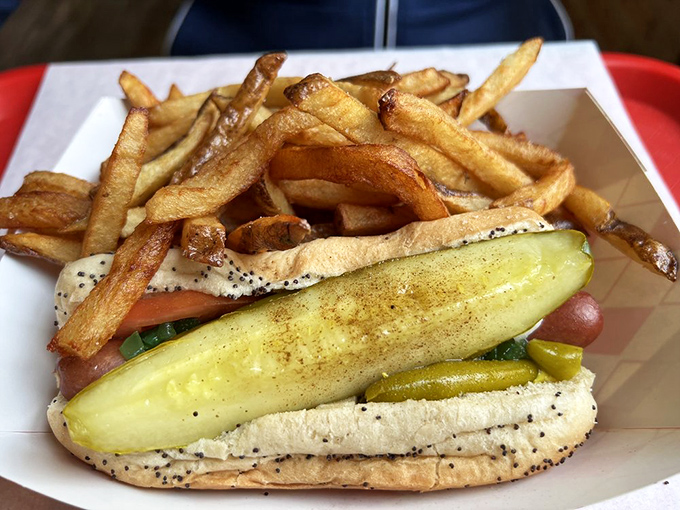 The Chicago-style hot dog &ndash; a symphony of toppings where ketchup dare not tread. That pickle spear isn't just garnish; it's structural engineering at its finest.
