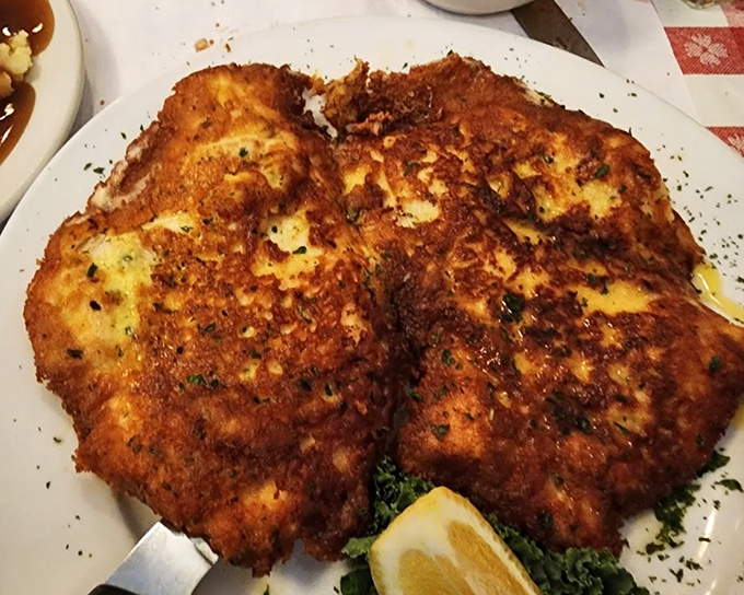 Chicken Romano that's been breaded and fried to such perfection, it might make your Italian grandmother weep with joy.