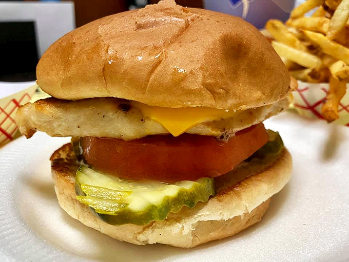 The chicken sandwich arrives with no pretension, just a golden piece of chicken, melted cheese, and fresh veggies on a perfectly toasted bun.