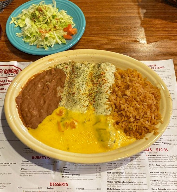 This isn't just a plate of enchiladas &ndash; it's a color wheel of Tex-Mex perfection. The queso blanket alone deserves its own love song.