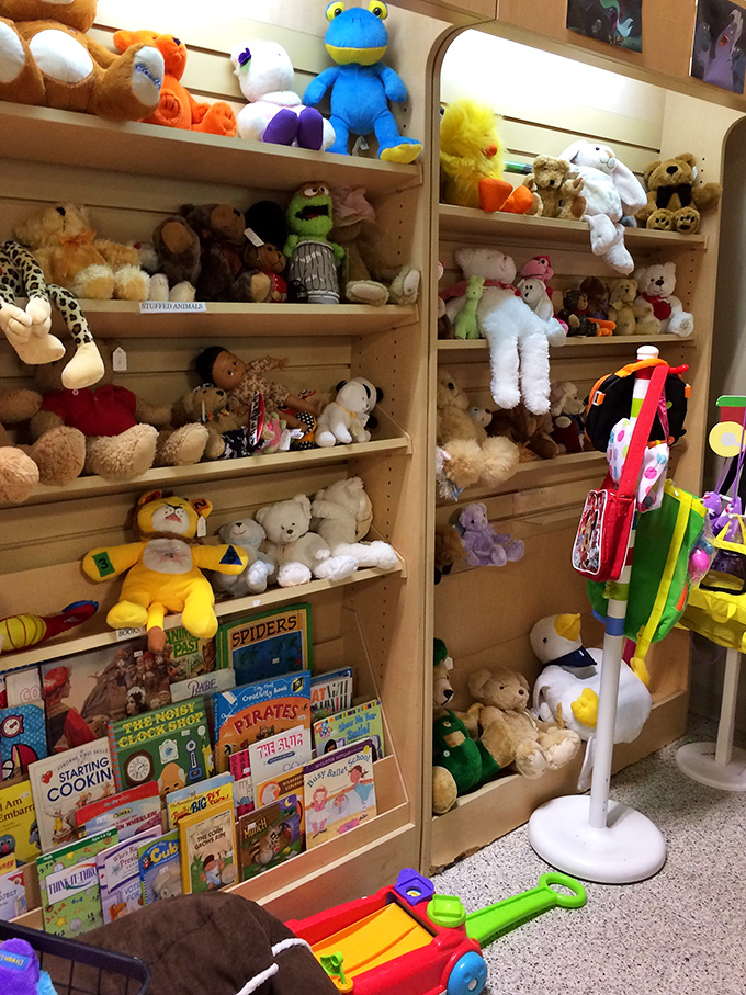 A stuffed animal reunion happening on these shelves! Every teddy bear and picture book is just waiting for a child's imagination to bring them back to life. 