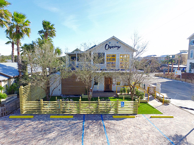 Chiringo's coastal cool: Where Spanish beach bar vibes meet Florida's Gulf Coast, creating the perfect spot to contemplate life's big questions, like "Another fish taco or save room for key lime pie?"