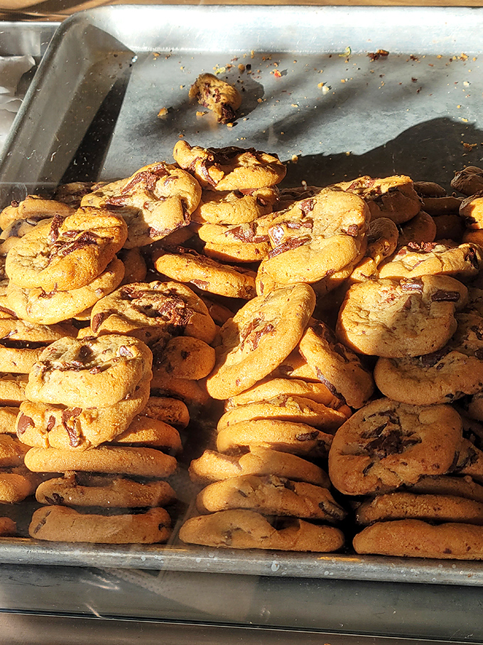 Cookies that would make your grandmother both jealous and proud. Golden, chocolate-studded treasures that demand to be dunked.