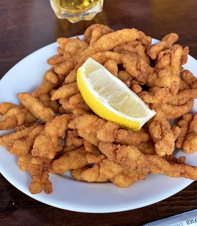 A mountain of perfectly fried clam strips with a lemon wedge perched on top like a conquering flag. The kind of dish that makes you forget counting calories was ever invented.