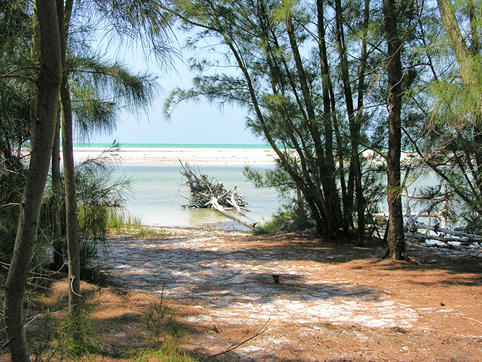 A natural gateway to paradise frames turquoise waters beyond, proving Florida's best beaches aren't always found next to high-rise condos.