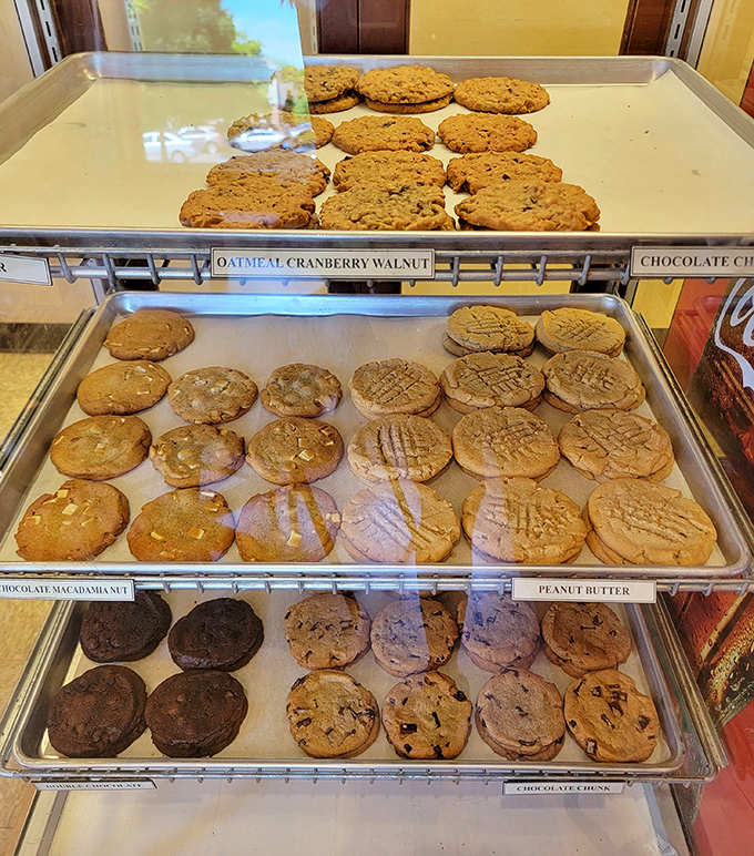 Cookie case paradise where "just one" becomes a mathematical impossibility &ndash; resistance is futile and frankly, why would you try?