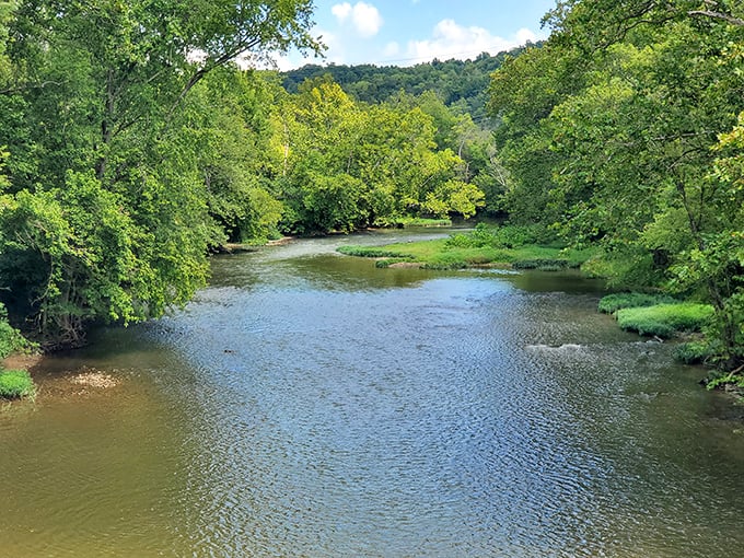 The Little Miami River flows serenely past Waynesville, offering the kind of tranquility that expensive meditation apps try desperately to simulate.