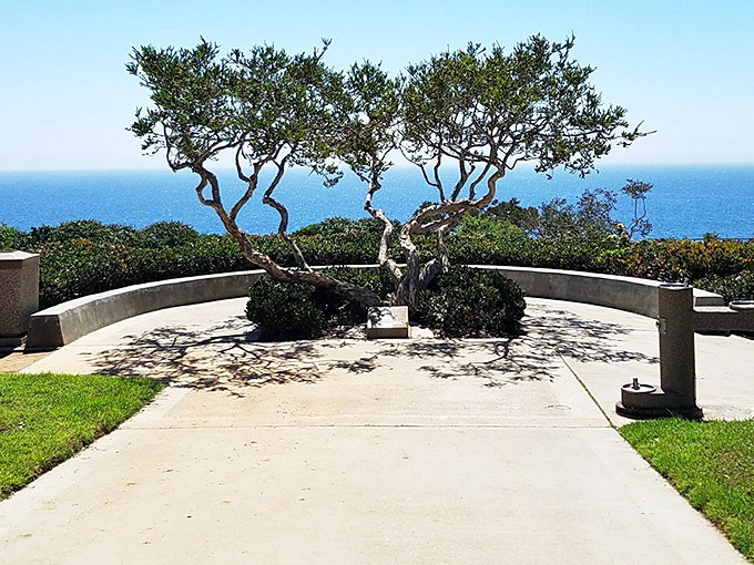 Crescent Bay Point Park offers the kind of view that makes smartphone cameras feel wholly inadequate. Some vistas deserve more than digital memory.