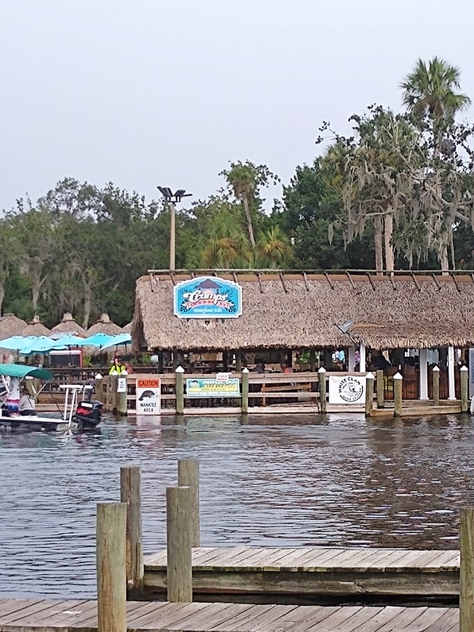 Waterfront dining where the tiki torches compete with sunset views for your attention.