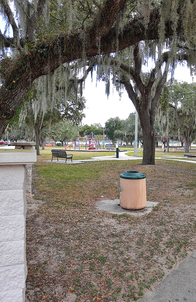 Spanish moss drapes these ancient oaks like nature's own interior decorator, creating a canopy over park benches that practically whisper "sit a spell."