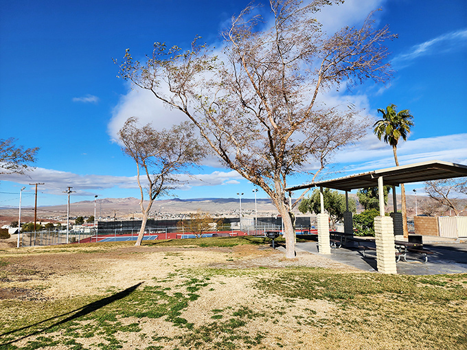 Dana Park provides a welcome splash of green in Barstow's earth-toned palette, where desert winds whisper through trees that seem to defy the arid climate.