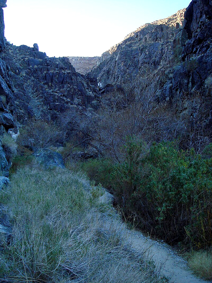 The canyon walls frame Darwin Falls like nature's own museum exhibit: "Water: The Unexpected Guest in Death Valley."