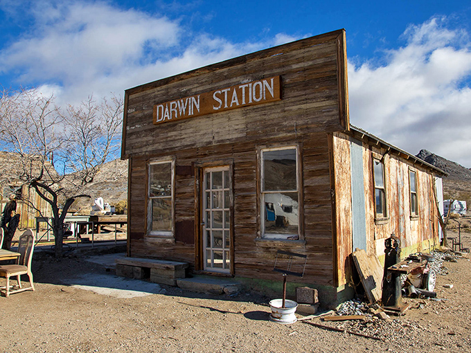 Darwin Station looks like it's waiting for a stagecoach that's running 100 years late. Rustic doesn't begin to cover it.