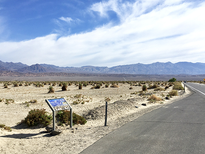 An informational sign stands sentinel in the desert, the mountains behind it saying, "Oh, you think you've seen views? Hold my cactus."