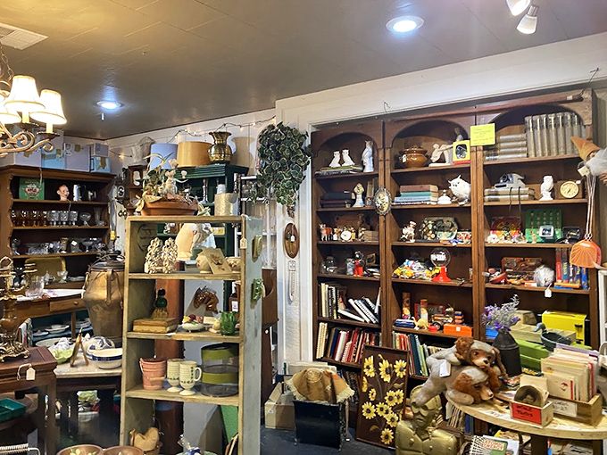 Books, bears, and bygone treasures&mdash;this corner feels like the living room of that cool grandparent who never threw anything away.