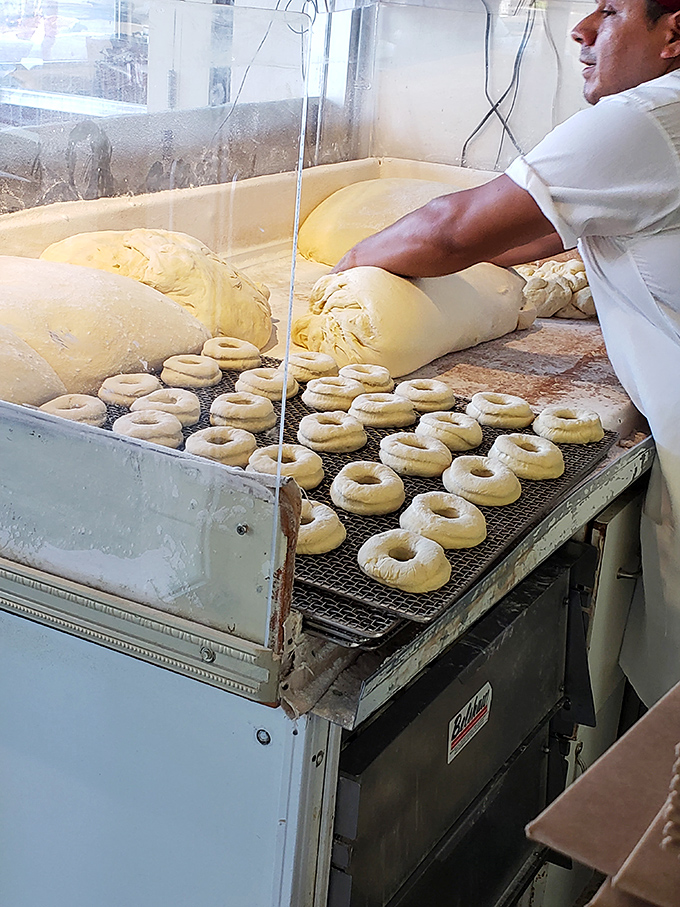 Artistry in motion. Like Michelangelo with dough instead of marble, each donut is shaped by hands that understand tradition.