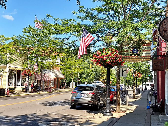 Downtown Vermilion's hanging flower baskets and American flags create that "movie set small town" feel that big cities spend millions trying to replicate.