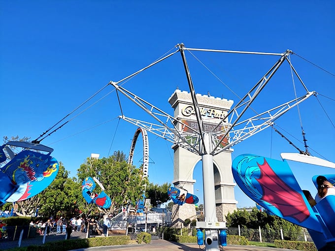 The colorful Dragon Flyer ride spins visitors through the air with just enough thrill to make you question your lunch choices, but not your life decisions.