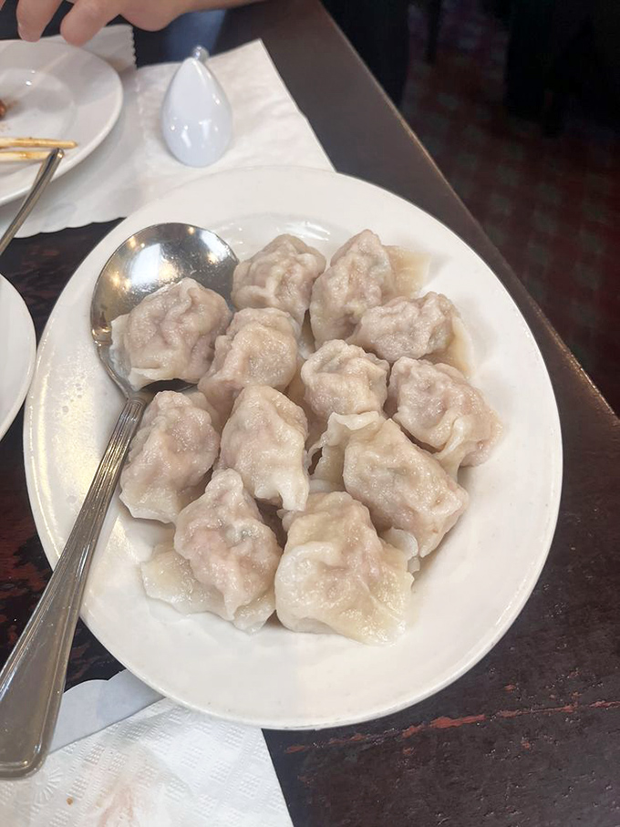Plump, tender dumplings waiting to release their savory secrets. Like little flavor bombs ready to detonate on your taste buds.