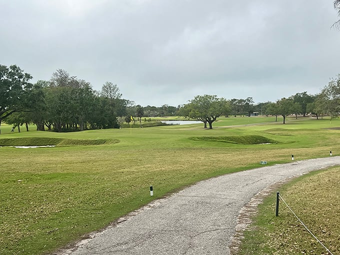 Dunedin's golf course offers rolling greens under moody Florida skies, where duffers and pros alike chase that elusive perfect round.