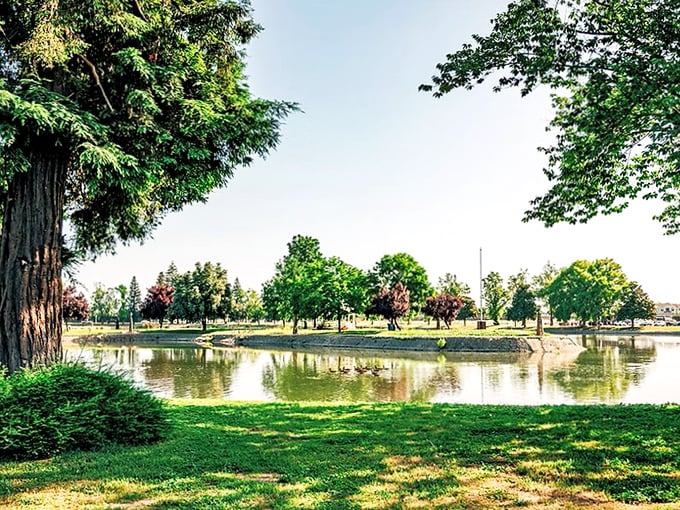 Ellis Lake offers a moment of serenity in the heart of town&mdash;like Central Park's country cousin who moved west for better weather.