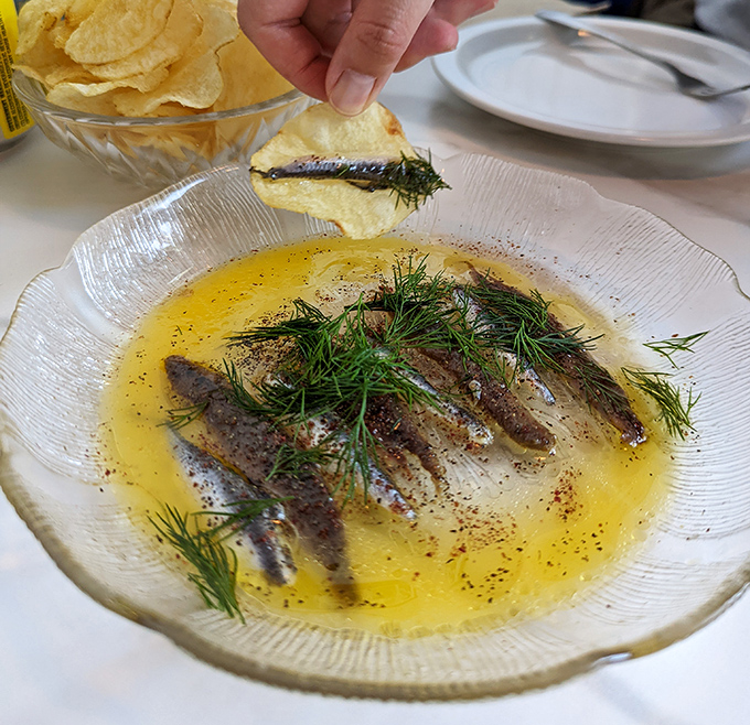Fancy Anchovies swimming in golden oil with fresh dill. Like a Mediterranean vacation that fits on a potato chip.