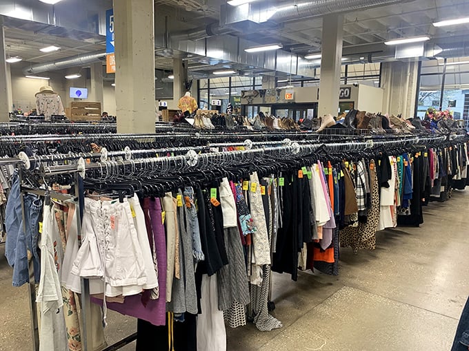 The fashion runway of the budget-conscious, where yesterday's impulse buys become tomorrow's signature pieces for the price of a latte.