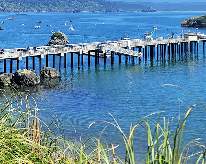 The fishing pier at Trinidad Harbor isn't just functional &ndash; it's where daily dramas of man versus sea play out against a backdrop worthy of a California tourism commercial.