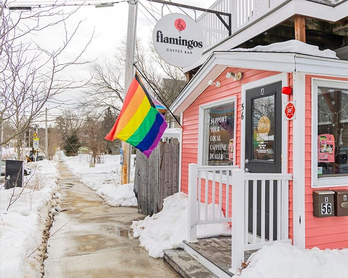 Flamingos Coffee Bar brings a splash of pink personality to snowy Exeter winters, proving that New England charm comes in all colors and temperatures.