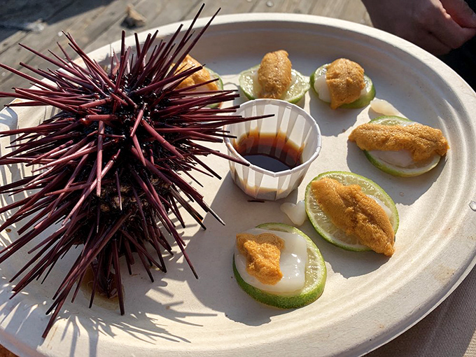 Fresh uni presentation that transforms sea urchin skeptics into believers, one spoonful of ocean gold at a time.