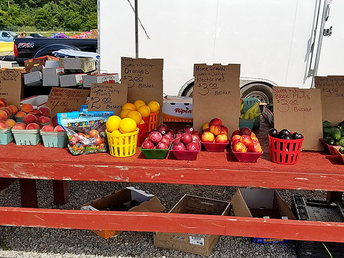 Nature's candy stand! Local produce that didn't have to travel across three states to reach your shopping bag.