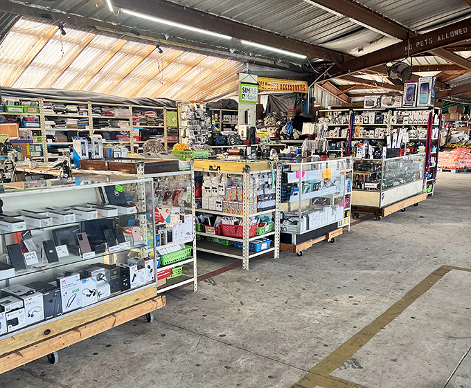 Electronics galore! Where gadget enthusiasts browse with the same intensity as archaeologists at a dig site.