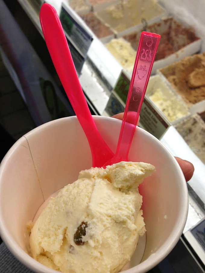 Golden pistachio ice cream that makes you question why you ever settled for vanilla. Life's too short for boring dessert choices.