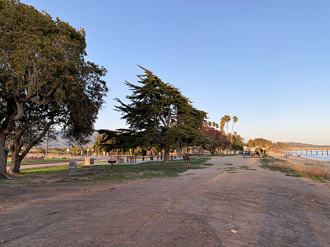 Goleta Beach Park offers that quintessential California experience&mdash;where majestic trees frame picnic spots and the ocean breeze carries away your workday stress.