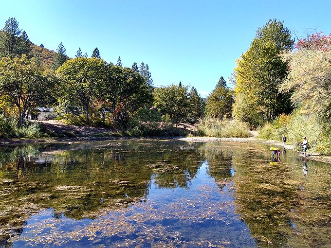 Greenhorn Park's crystal waters reflect autumn's palette &ndash; nature's version of a double feature that doesn't require a streaming subscription.