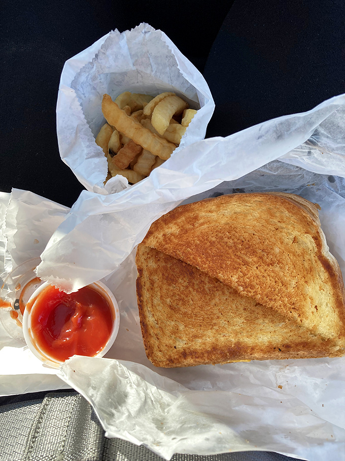 Golden grilled cheese and crispy fries creating the perfect comfort food symphony for your taste buds.
