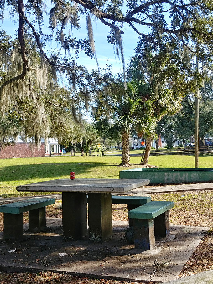 Spanish moss drapes over this peaceful park setting like nature's own party decorations. The perfect spot for contemplating life or just your lunch options.