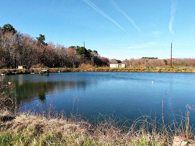Heron Park offers a serene water view that's perfect for contemplation&mdash;or plotting your retirement escape from big city chaos to small-town tranquility.