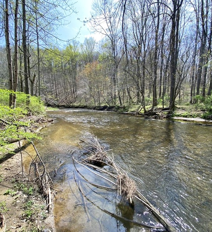 Spring reveals Deer Creek's crystal personality. The kind of place where you suddenly understand why people write poetry about babbling brooks.