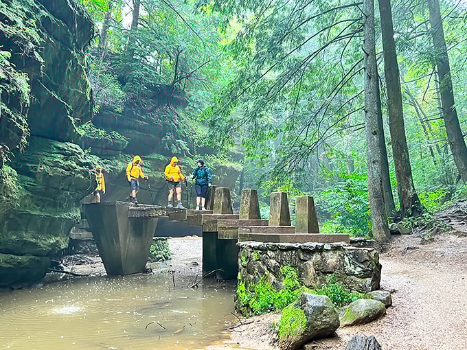 These wooden footbridges aren't just practical&mdash;they're portals between worlds. One minute you're in Ohio, the next you're in Middle-earth.